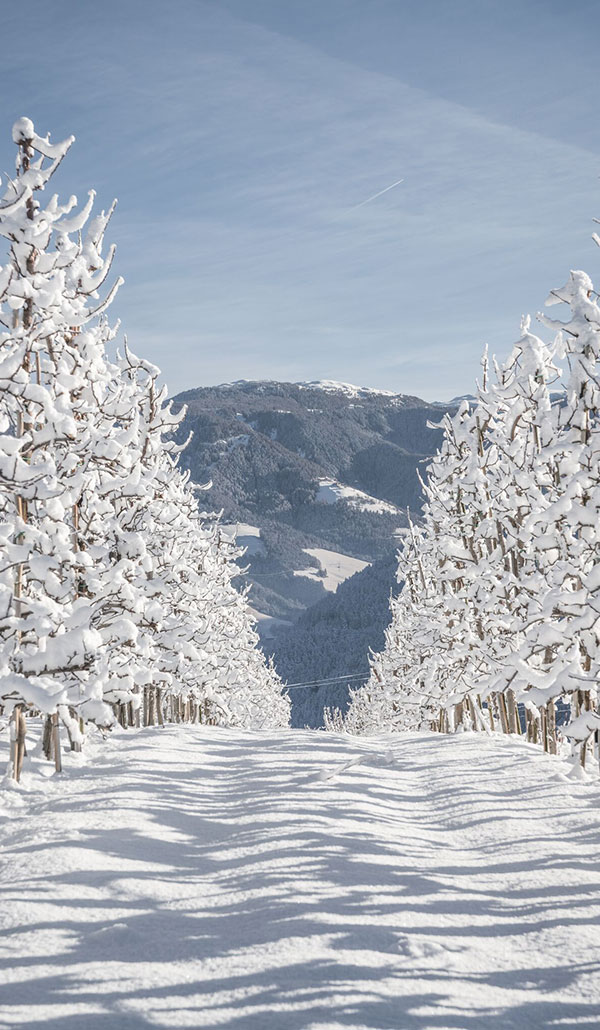 Sonne pur im Hotel Sun in Natz/Schabs bei Brixen | Südtirol
