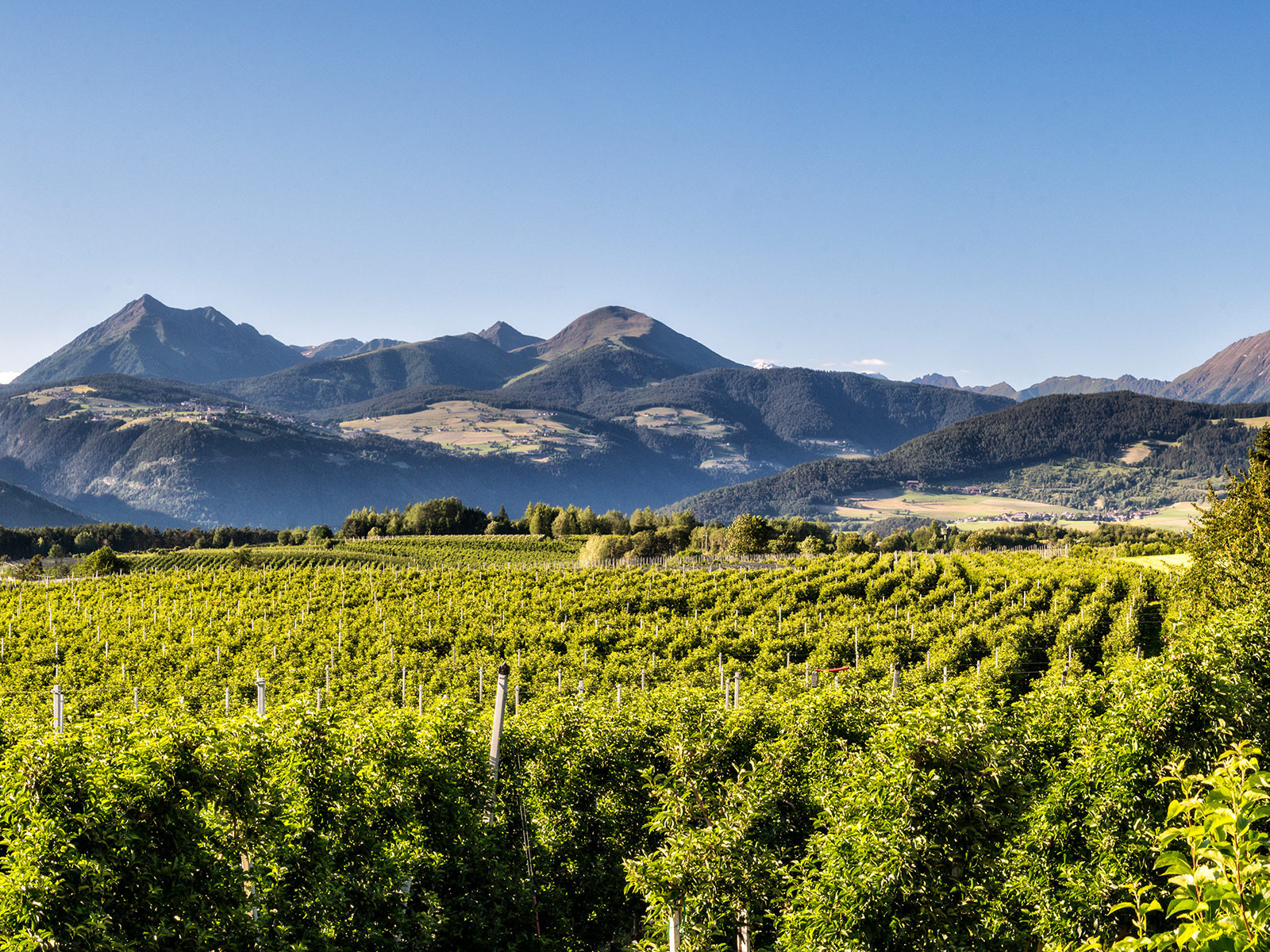 Sonne pur im Hotel Sun in Natz/Schabs bei Brixen | Südtirol